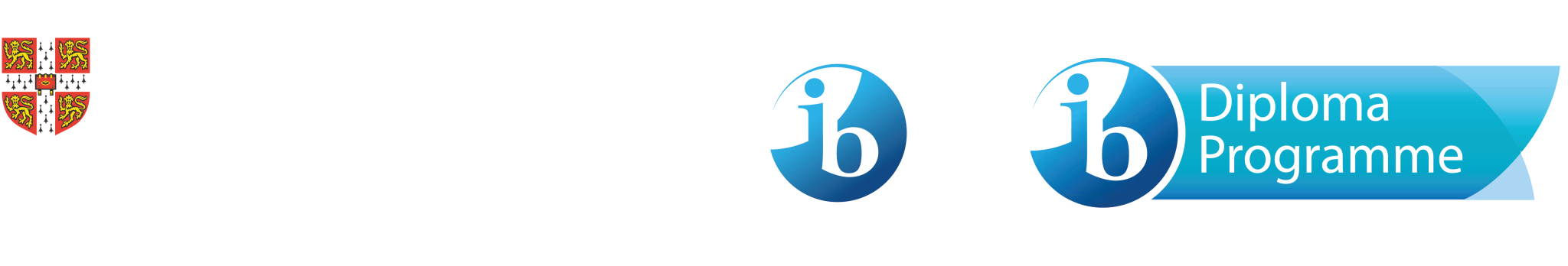 Curriculum School - Sampoerna Academy - Program